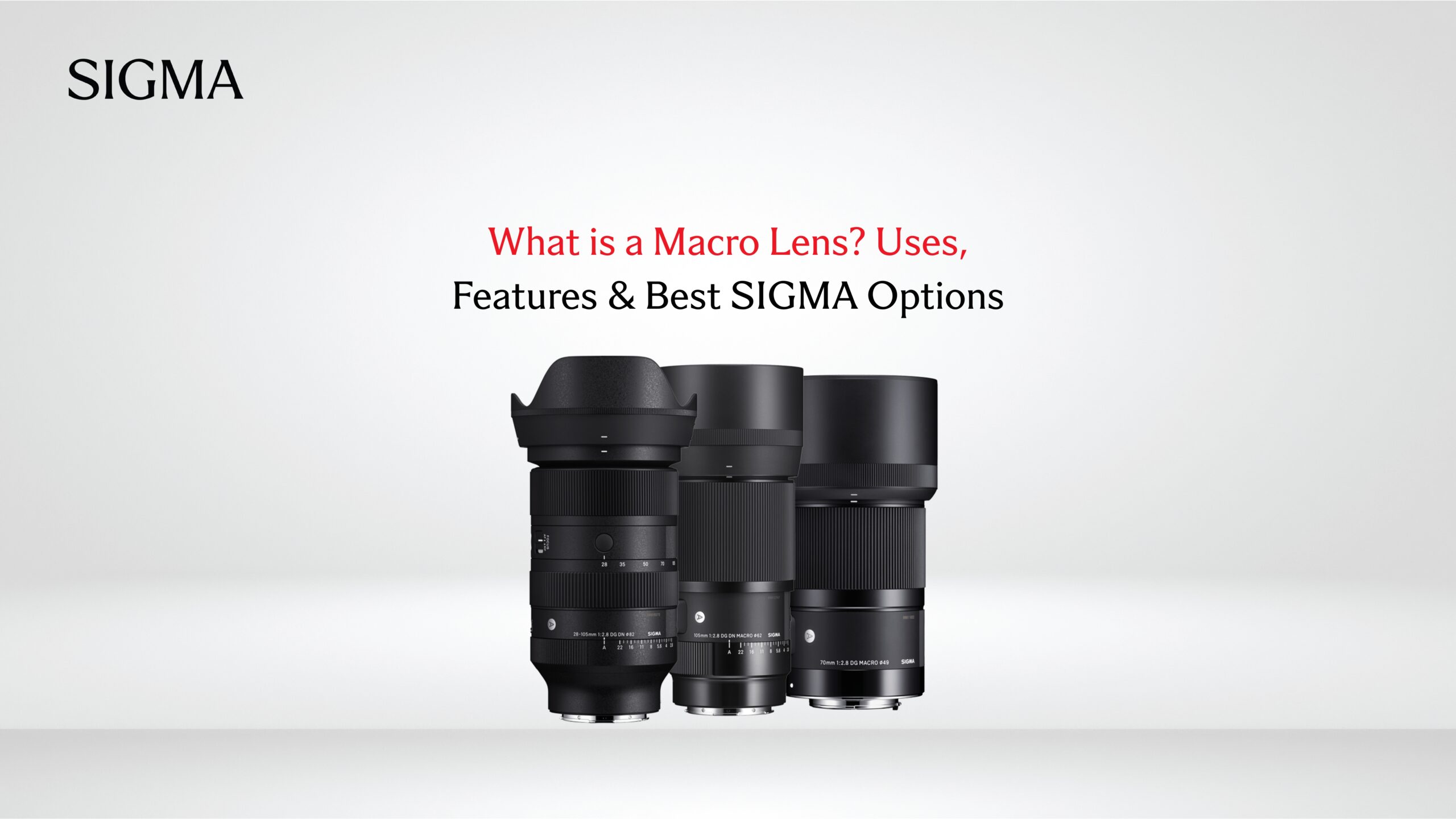 What is a Macro Lens? Uses, Features of Macro lens in Pakistan